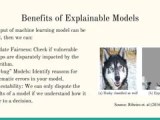 Interpretable Machine Learning Methods For Understanding Complex
