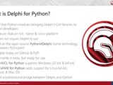 Introduction To Python Gui Development With Delphi For Python Part 1