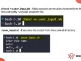 Introduction To Shell Scripting Rhcsa Pdf