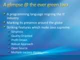 Java Embedded System Ppt