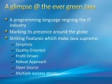 Java Embedded System Ppt