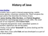 Object Oriented Programming Using Java Pdf