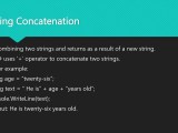 Lesson 4 Basic Programming Constructs Pptx