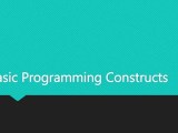Lesson 4 Basic Programming Constructs Pptx