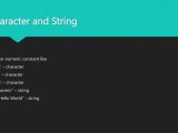 Lesson 4 Basic Programming Constructs Pptx