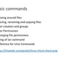Linux And Bash Programming Pptx