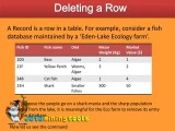 Ms Sql Server Manipulating Database Pptx