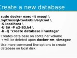Microsoft Sql Server With Linux And Docker Pdf