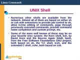 Module 02 Using Linux Command Shell Pdf