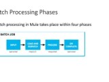 Mule Batch Processing Pptx