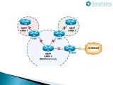 Network Routing Computer Science Ppt