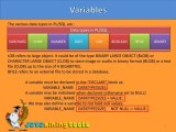 Oracle Plsql Introduction Pptx