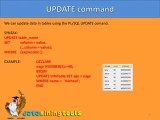 Oracle Plsql Commands Pptx