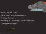 Oracle Stream Analytics Developer Introduction Pdf