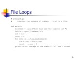 Python Programming Introduction Loops Boolean Ppt