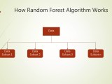 Random Forest Algorithm Pptx