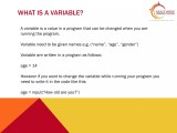 Programming Variables Pptx
