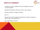 Programming Variables Pptx