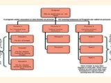 Difference Program Vs Process Vs Thread Pptx