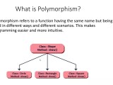 Python Polymorphism Pptx