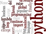 Python Programming Expressed In Word Clouds Pdf