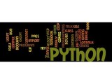 Python Programming Expressed In Word Clouds Pdf