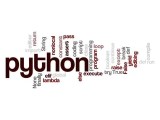 Python Programming Expressed In Word Clouds Pdf
