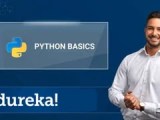 Python Basics Python Tutorial Edureka Pdf