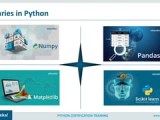 Python Certification Data Science With Python Certification Python