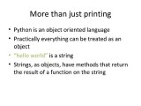 Python First Day Ppt