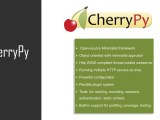 Top 5 Frameworks In Python Django Web2py Flask Bottle Cherrypy