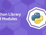 Python Libraries And Modules Pptx
