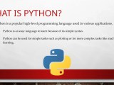 Python Programming Variables Objects And Classes Pptx
