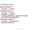 Python Programming Anonymous Functions String Operations Pptx