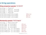 Python Programming Anonymous Functions String Operations Pptx