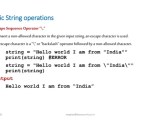 Python Programming Anonymous Functions String Operations Pptx