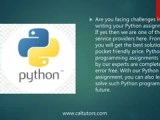 Python Programming Assignment Help Pptx