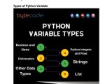 Python Programming Course With Certificate Pdf