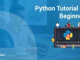 Python Tutorial For Beginners Python Crash Course Python