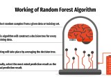 Random Forest Algorithm A Machine Learning Algorithm Pdf