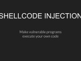 Shellcode Injection Pdf