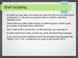 Introduction To Shell Script Ppt