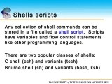 Shell Script Ppt