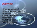 Socket Programming Ppt