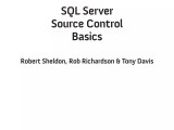 Sql Server Source Control Basics Pdf