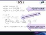 Sql Embedded Sql Dynamic Sql And Sqlj Pptx