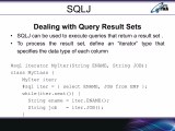 Sql Embedded Sql Dynamic Sql And Sqlj Pptx