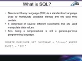 Sql Embedded Sql Dynamic Sql And Sqlj Pptx