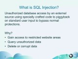 Sql Injection Defense In Python Pptx