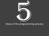 The Programming Process Pdf